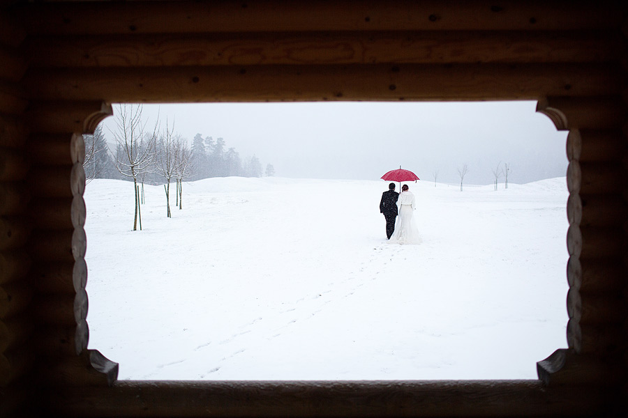 Poroka Nine in Alberta - Evergreen smlednik - Popotniški blog ...