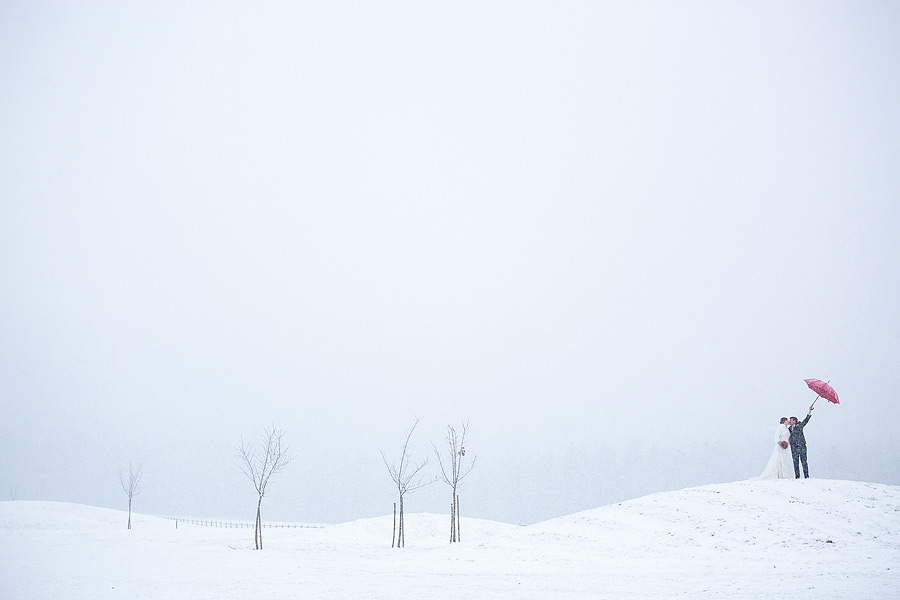 Poroka Nine in Alberta - Evergreen smlednik - Popotniški blog ...